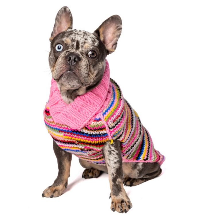 Chilly Dog Sweaters - Hand-Knit Pet Products