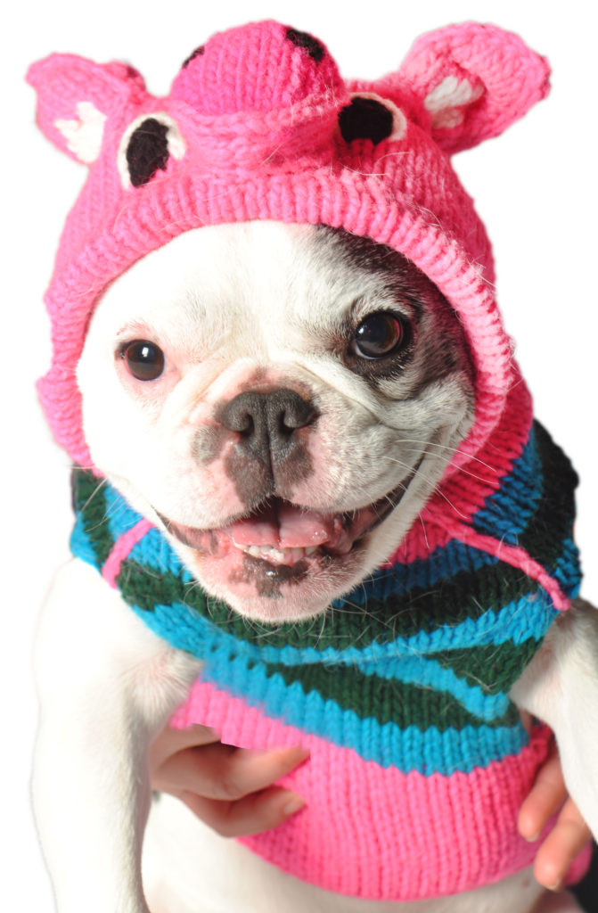 Pink Piggy Hoodie Dog Sweater — Chilly Dog