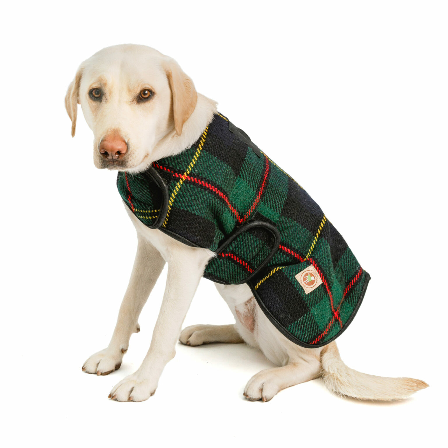 Dog Coats — Chilly Dog Sweaters