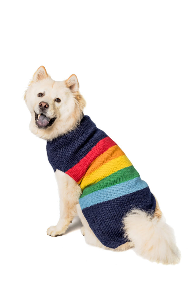 Sweaters Archives - Chilly Dog Sweaters