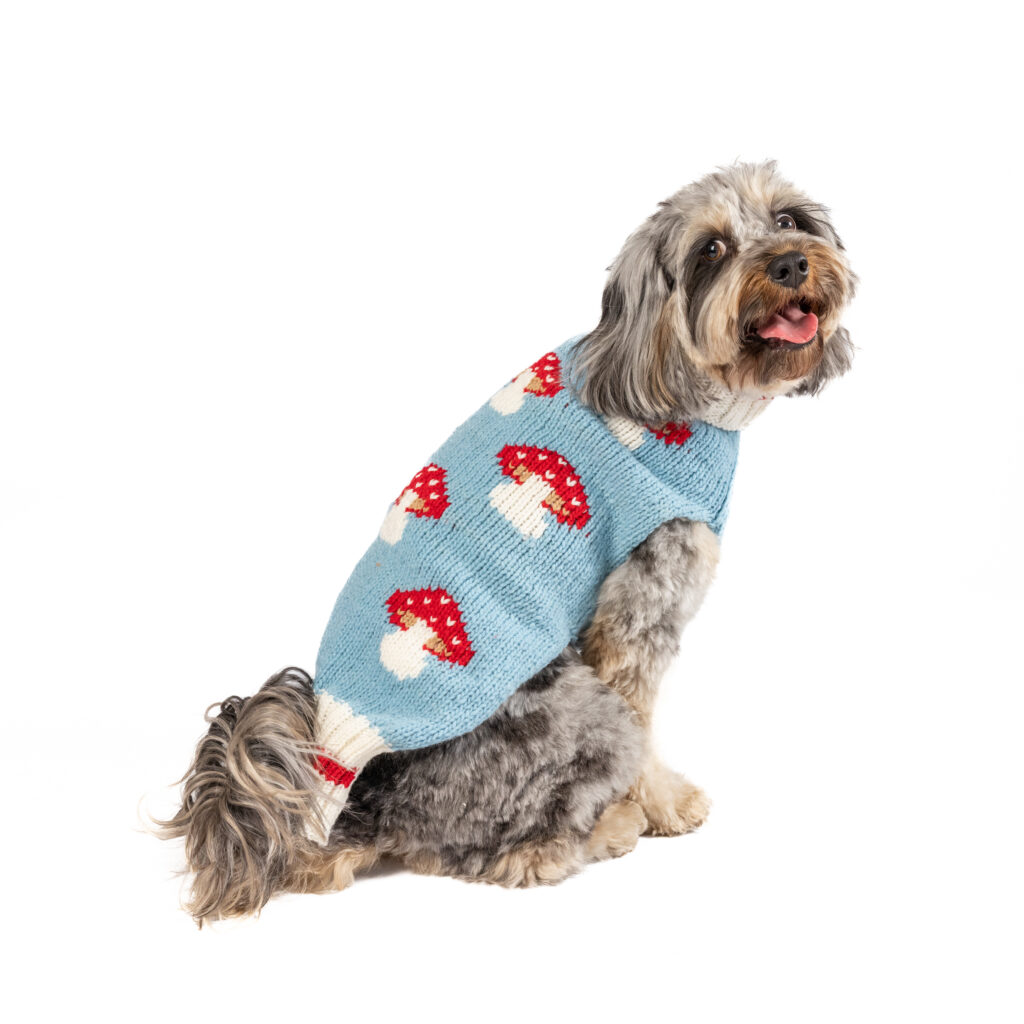 Mushroom Dog Sweater — Chilly Dog