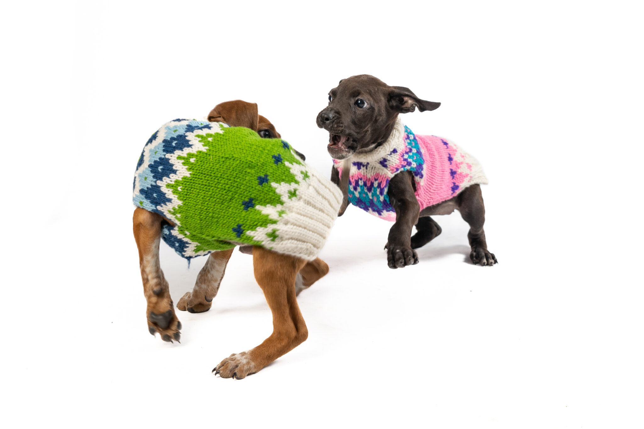 Pink Ski Bum Dog Sweater — Chilly Dog