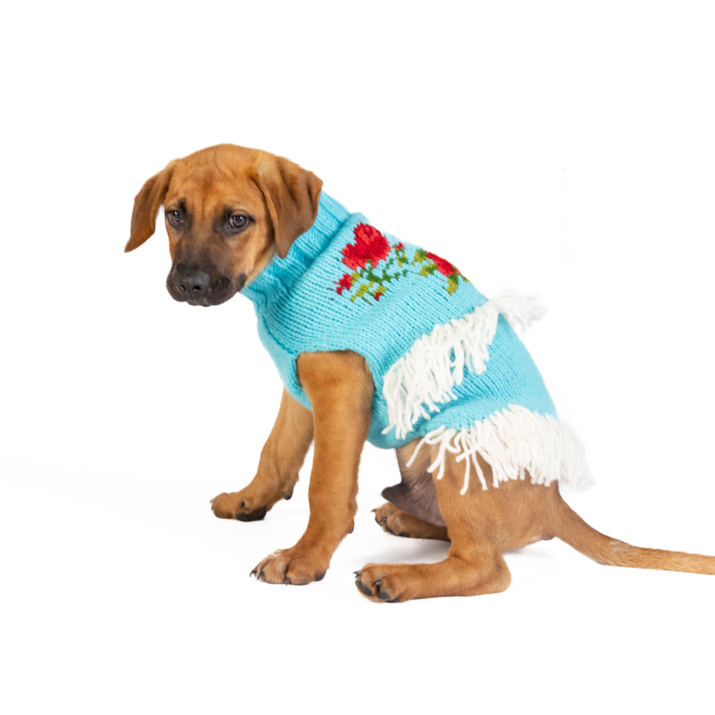 Rodeo Dog Sweater — Chilly Dog