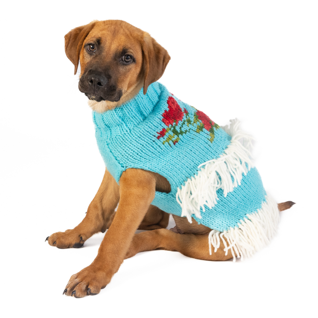 Rodeo Dog Sweater — Chilly Dog