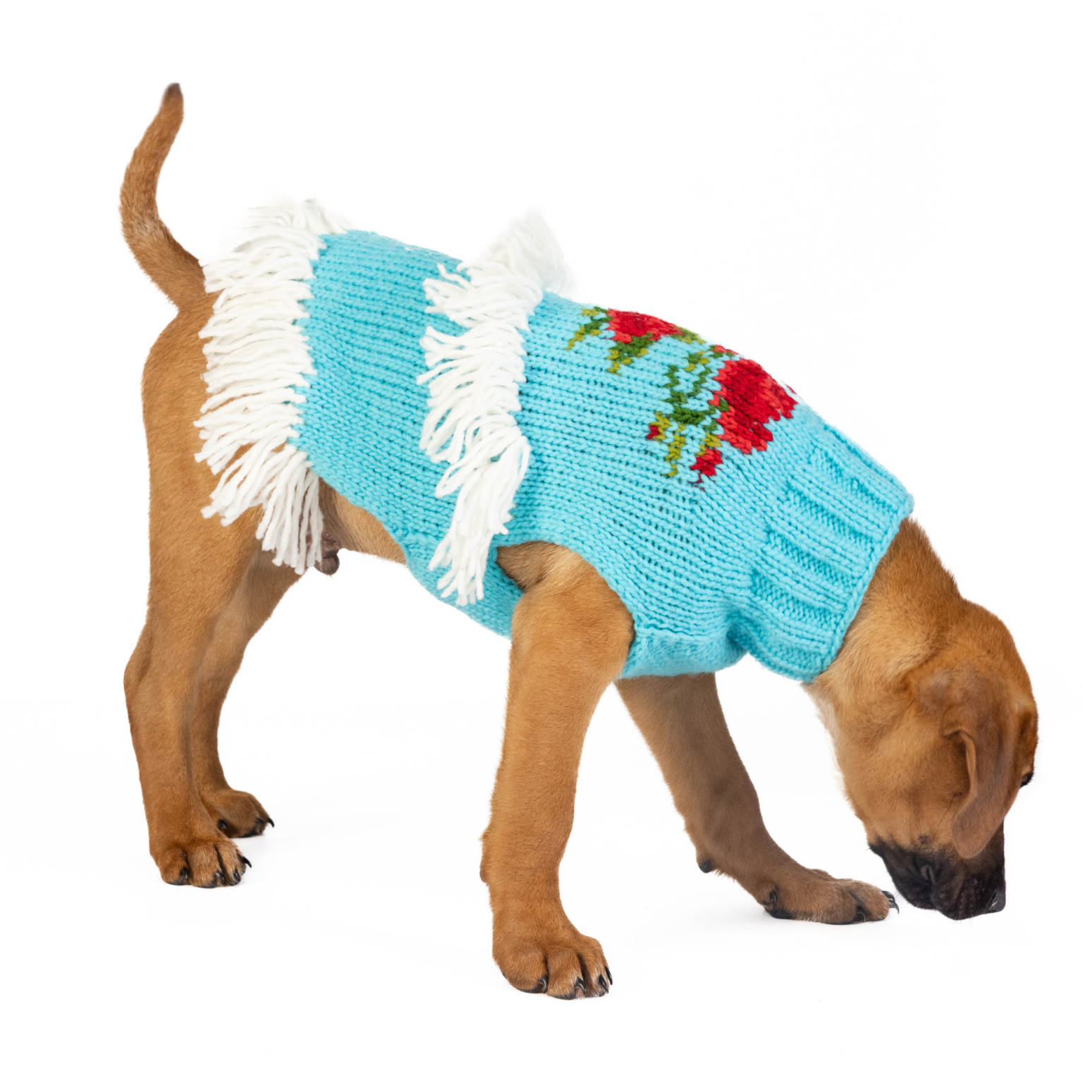 Rodeo Dog Sweater — Chilly Dog
