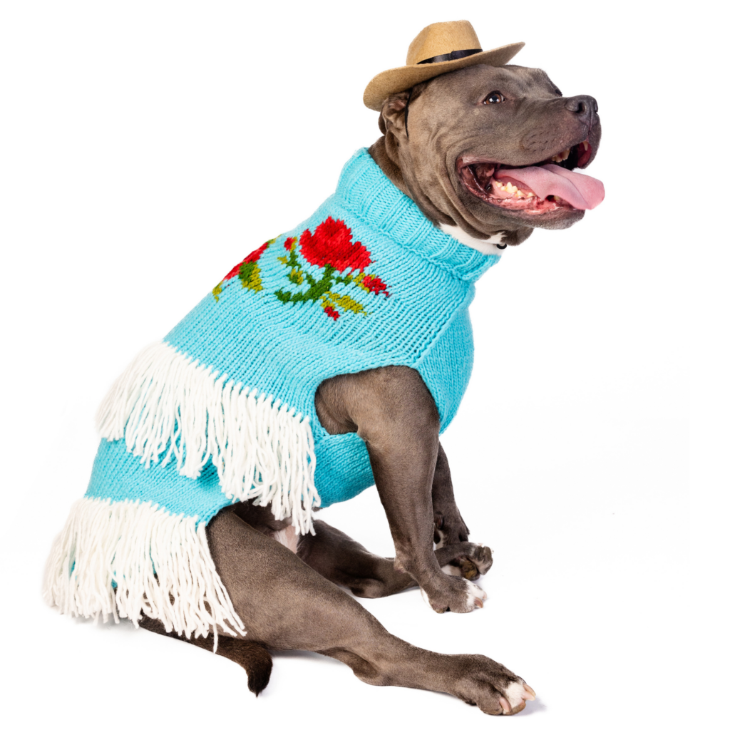 Rodeo Dog Sweater — Chilly Dog